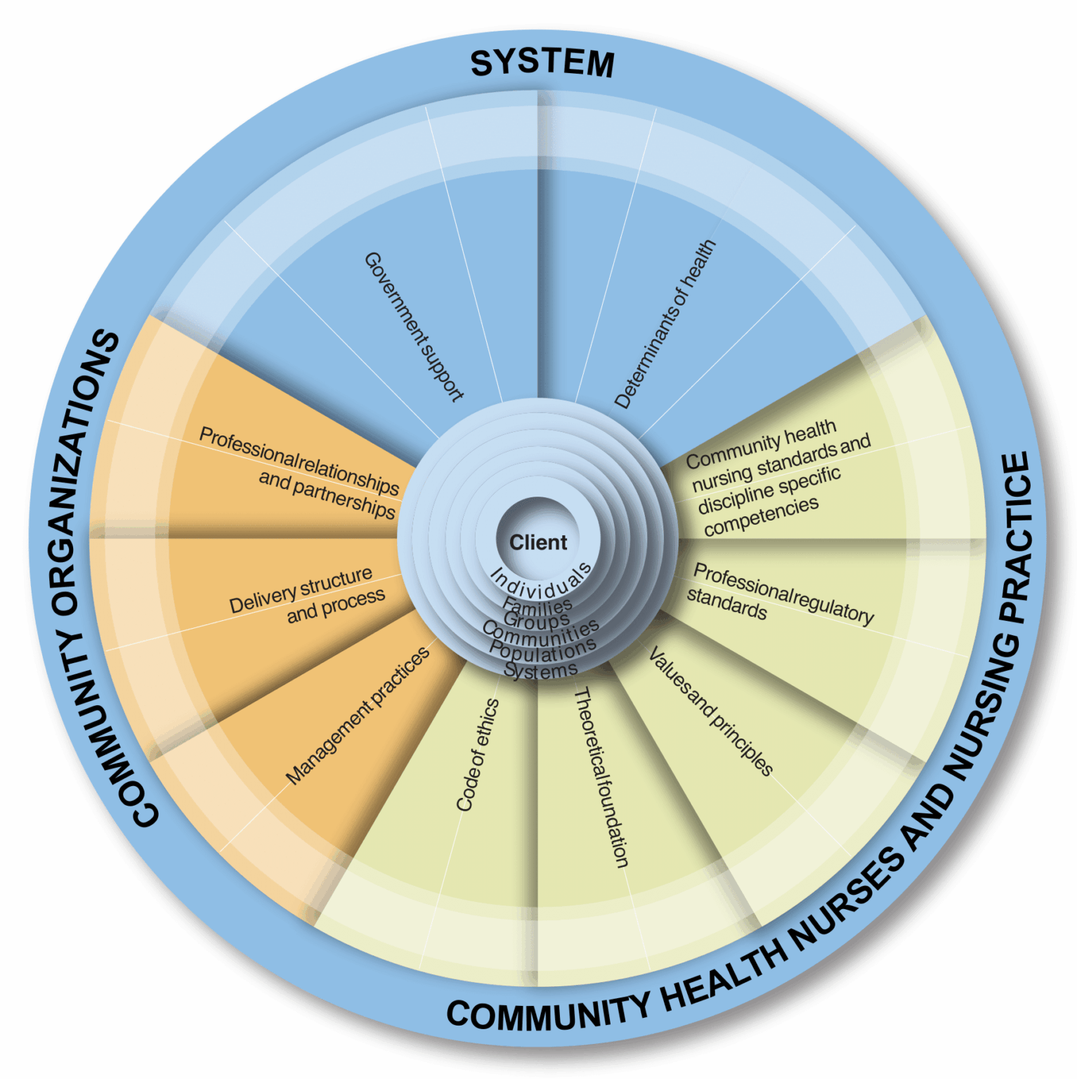 Standards & Competencies in Nursing